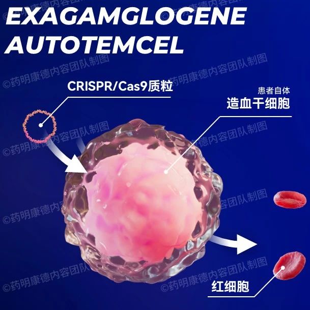 重磅！首款CRISPR基因编辑疗法获FDA批准上市|基因编辑|FDA_新浪新闻