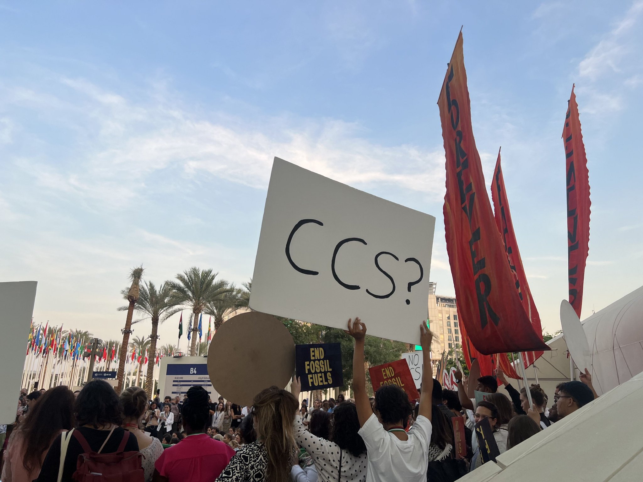 36碳直击COP28｜CCS 、CCUS被抵制，“碳捕手”技术是骗局？|CCS|捕手_新浪新闻
