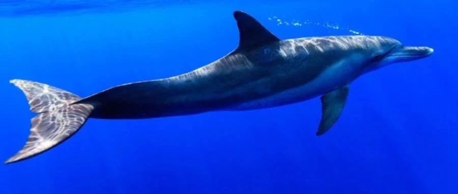 数据集成产品的技术演进与实际应用-FastData DCT|数据集成|数据源|数据传输_新浪新闻