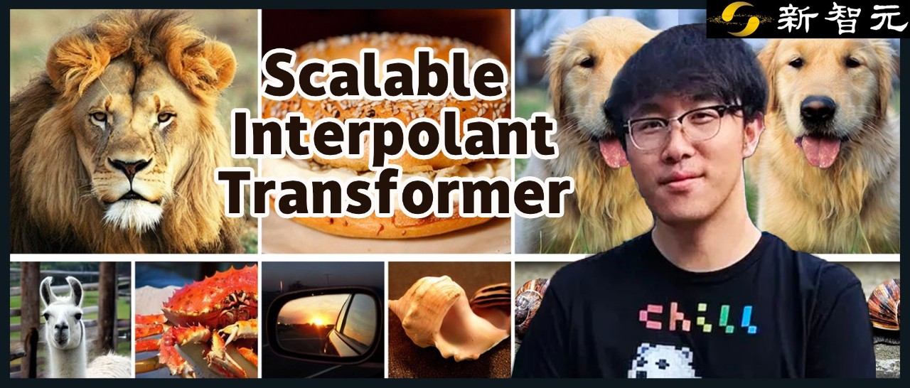 Sora出圈，背后DiT也火了！作者NYU谢赛宁官宣全新升级版SiT|插值_新浪新闻