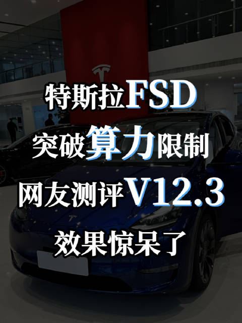特斯拉FSD突破算力限制，网友测评V12.3，效果惊呆了_新浪新闻