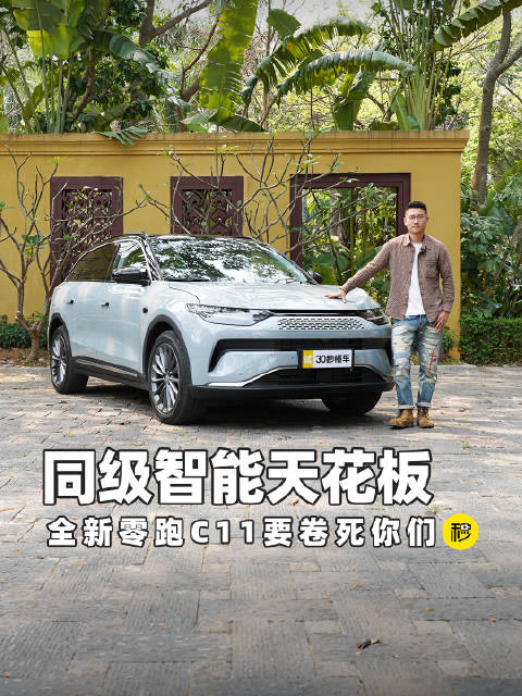 8295芯片 底盘大升级 顶配不到20万 零跑C11想卷死谁？|改装案例|国产|新能源_新浪新闻