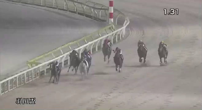 2024年日本一级赛（Jpn1）羽田杯（3岁，泥地1800米）…_新浪新闻