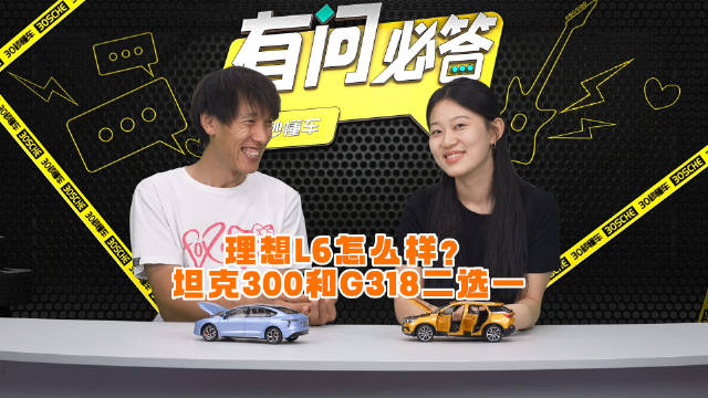 汽车选购指南：理想L6、途观L Pro、坦克300、G318对比解析|两车对比|20-25万导购|大众_新浪新闻