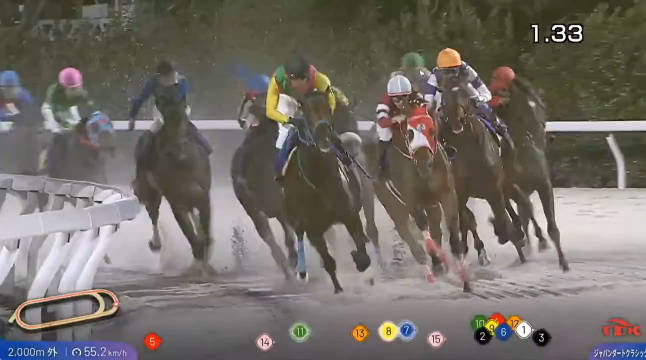 2024年日本一级赛（Jpn1）日本泥地经典赛（3岁，泥地2000米）…|日本_新浪新闻