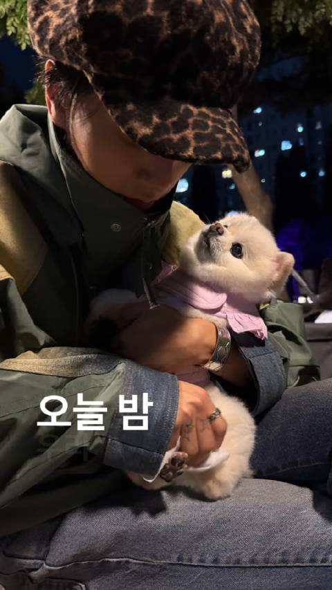 241027金钟云ins story更新： (BGM:艺声-Together)|金钟云|Together|艺声_新浪新闻