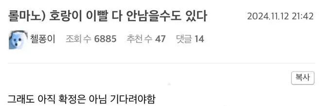 外媒爆料：369离队，meiko加入WBG！|meiko|369|英雄联盟_新浪新闻