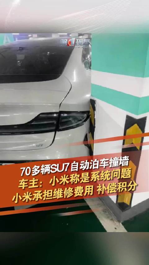 小米SU7出现自动泊车故障？车主：系统出现BUG|用车心得|20-25万三厢车|新能源_新浪新闻
