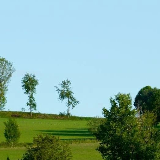 ChatBI+Agent：数据分析AI助手的最佳实践|AI|数据库_新浪新闻