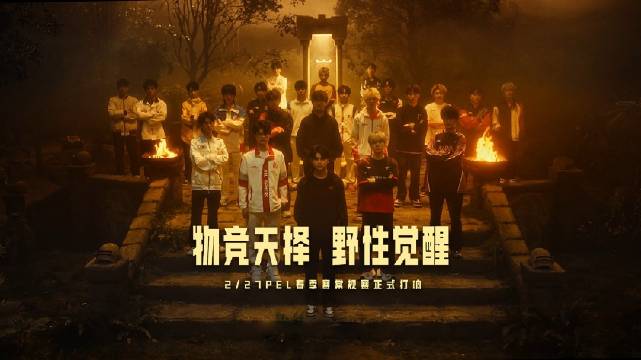 2025PEL春季赛_新浪新闻