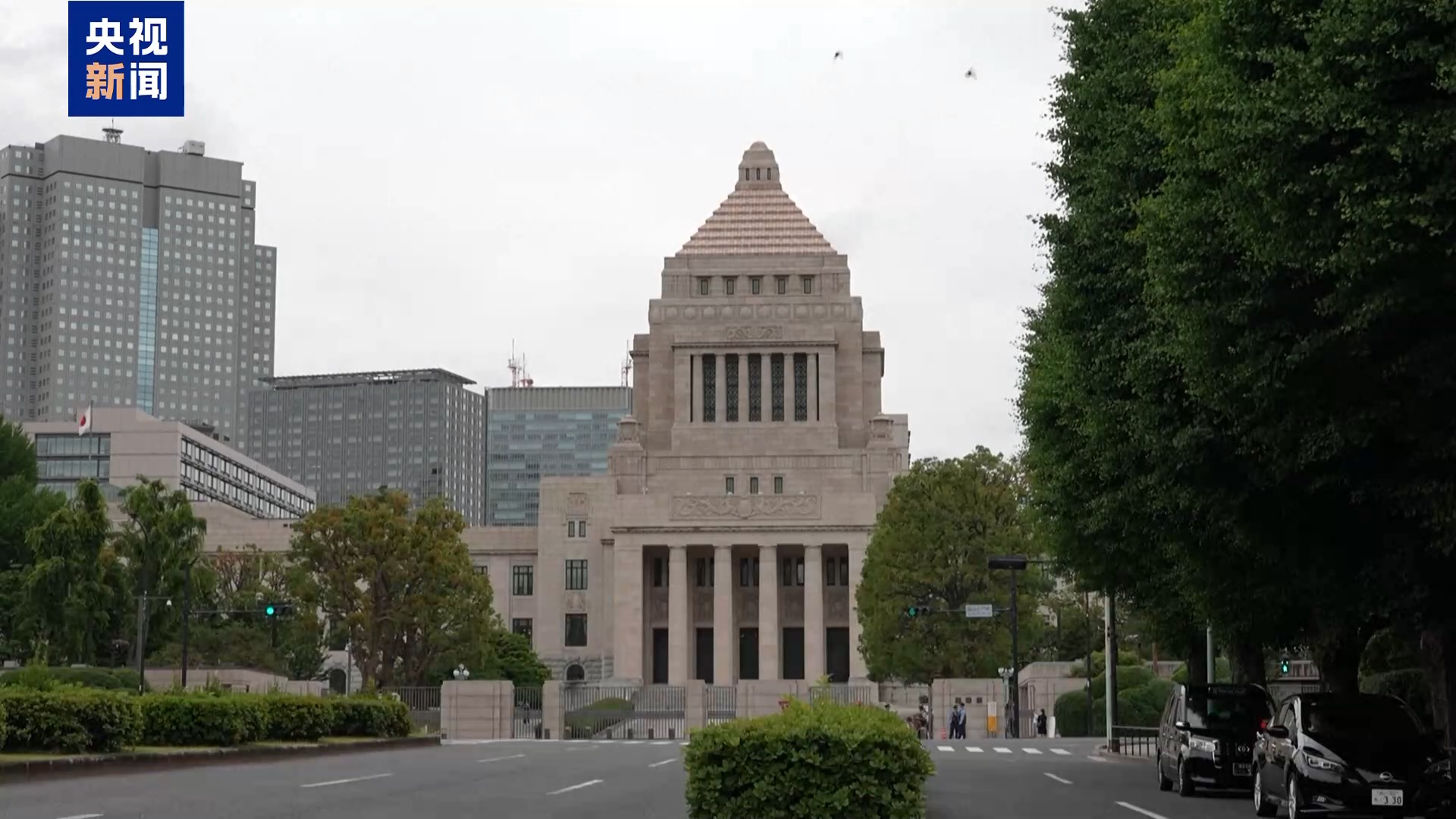 视频丨日本加速推进武器出口引担忧 民众集会表达抗议 日本 小泉进次郎 日本政府 战争 新浪新闻