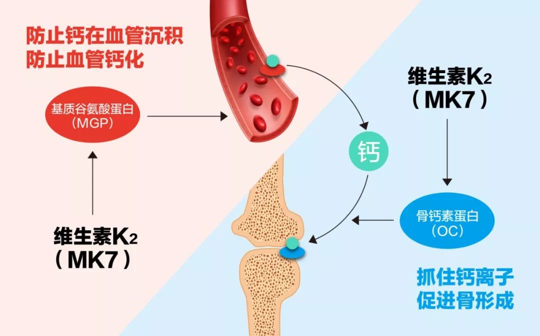 【资讯】你的骨骼亮红灯了吗?领钙入骨成预防关键