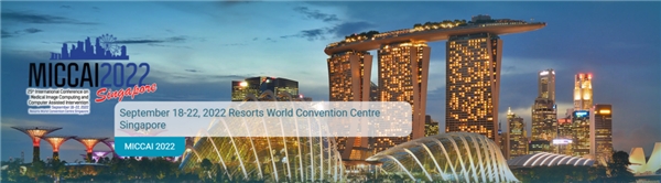 世界第一！推想包揽MICCAI 2022两大国际挑战赛冠军|挑战赛|CT_新浪新闻