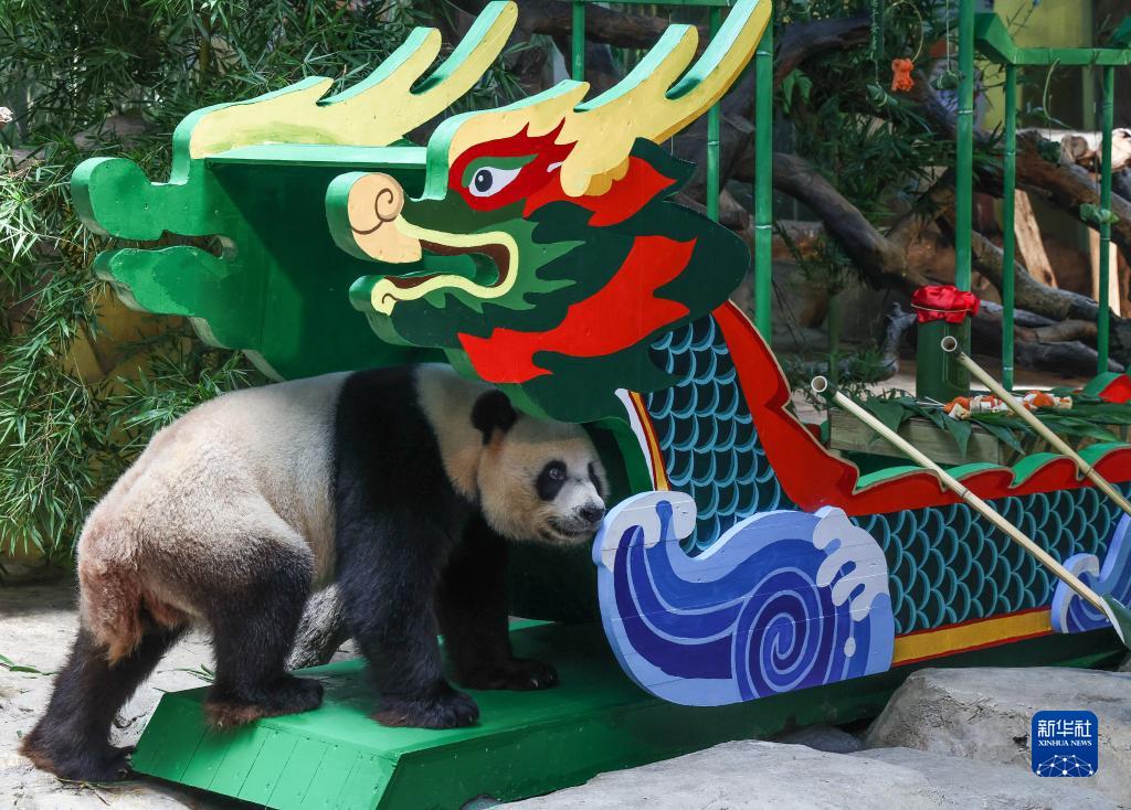 國寶“體驗”端午文化 - 新浪香港