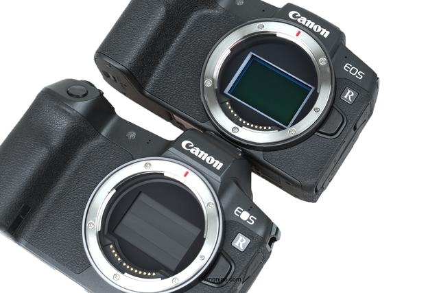 佳能两款全幅微单 EOS R与EOS RP实拍对比图赏|微单|佳能|实拍_新浪新闻