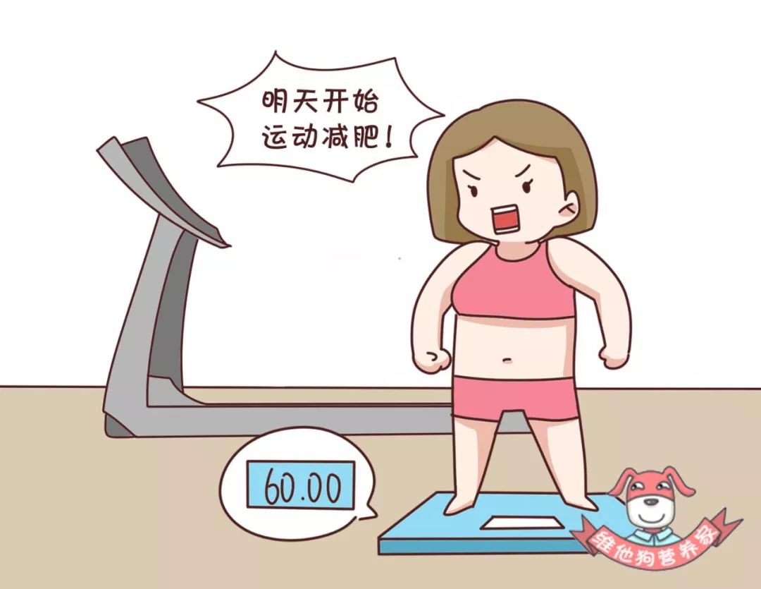 谁说少吃多动就能瘦?3分钟看完科学配餐法则,教你越吃越瘦!多动饮食新浪新闻