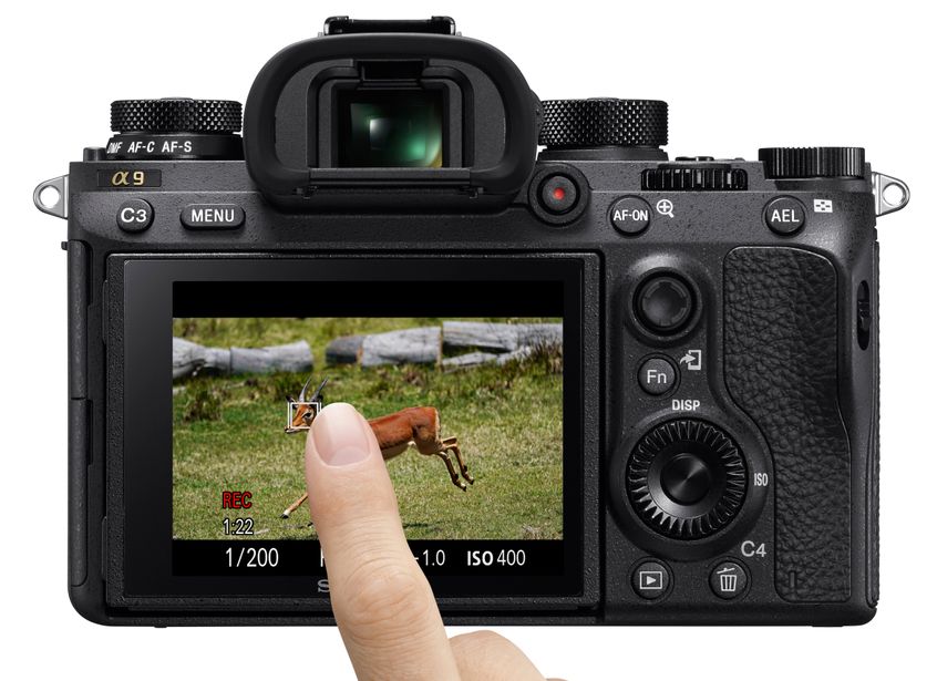 索尼发布A9 / A7RM3 / A7M3固件升级计划 与Imaging Edge Mobile应用程序|眼部|固件|应用程序_新浪新闻