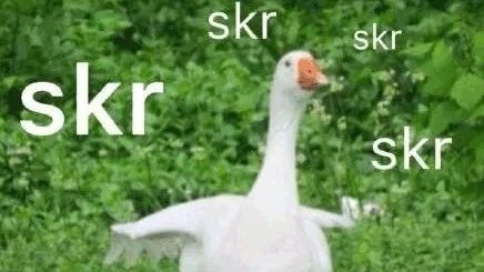 热skr人！笑skr人！被玩坏的“skr”到底是个啥？|吴亦凡|流行语|说唱_新浪新闻