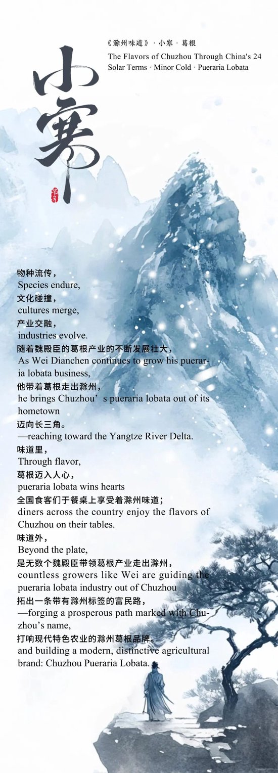 藏在滁州地下的宝贝！Pueraria Lobata，这一口你吃上了没？_新浪安徽_新浪网