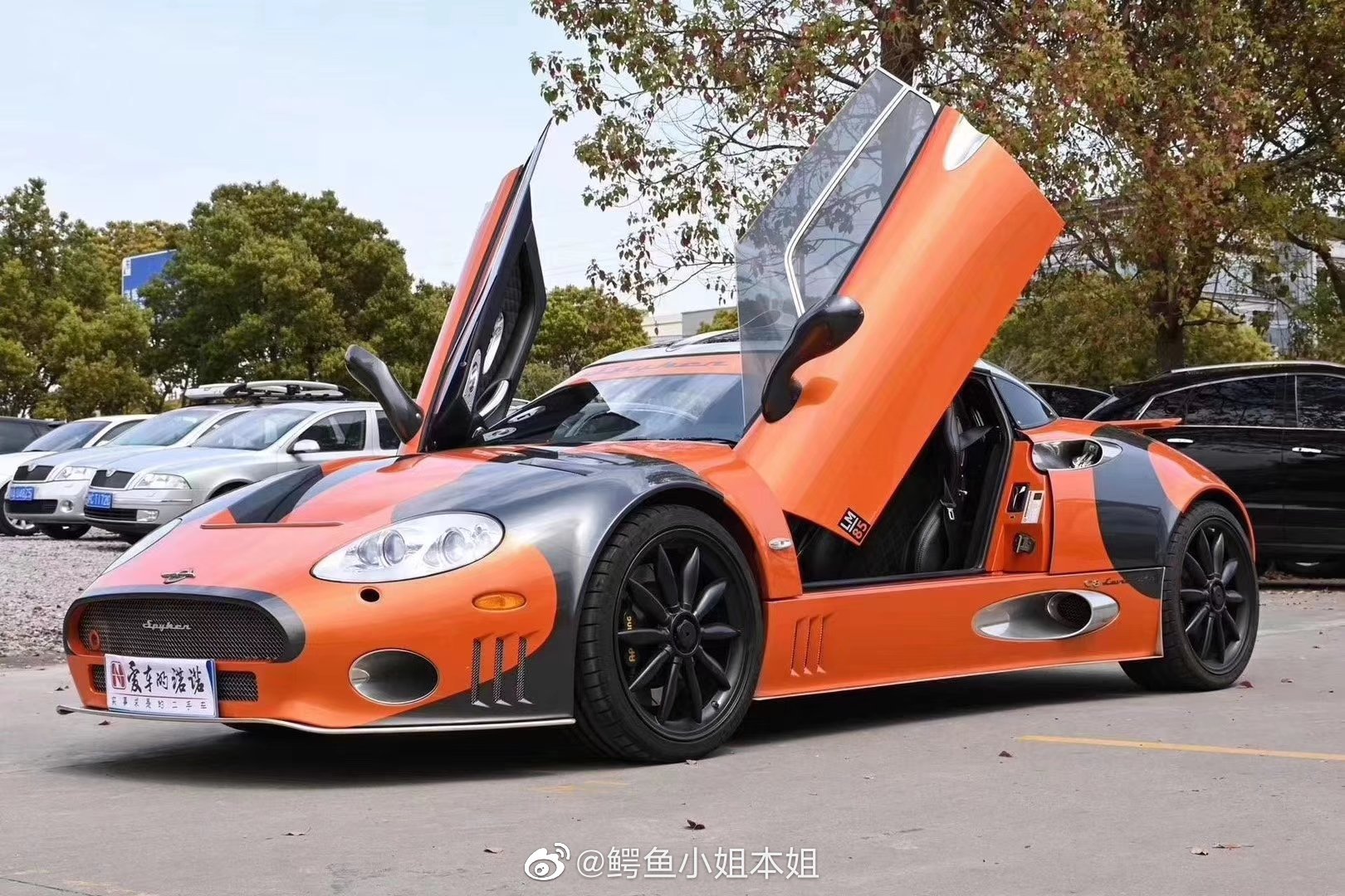 世爵 C8 Laviolette LM85，据说全国有且仅有2台，开眼界了。-手机新浪汽车