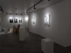 吕文婧与Emma Vidal双个展在法开幕|当代艺术|天津美术网-天津美术界门户网站