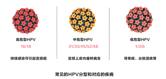 身上这4种皮肤疙瘩，要当心HPV感染_新浪新闻