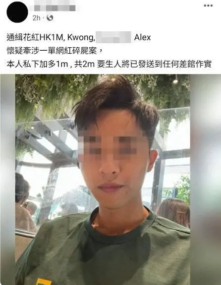 香港警方介绍蔡天凤被碎尸案进展:已经以谋杀罪名拘捕被害人前夫 香港警方 香港 碎尸案 新浪新闻