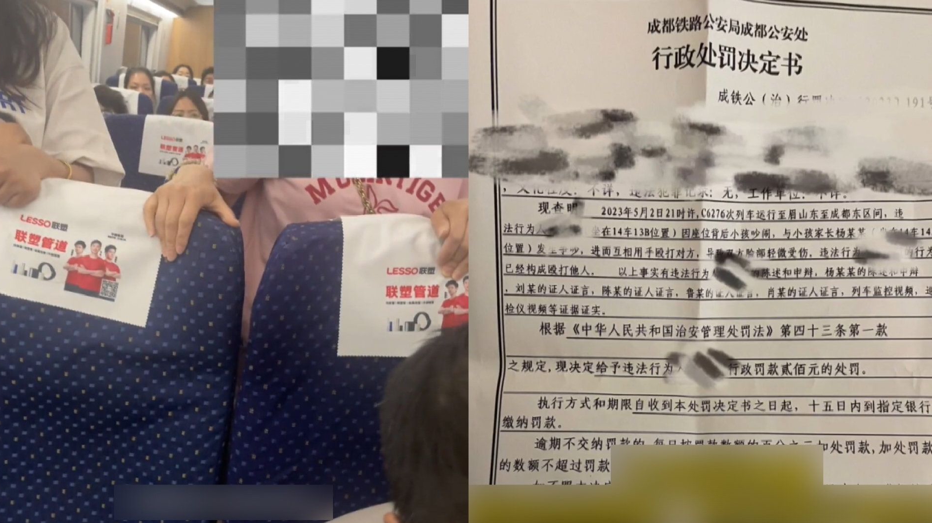 女子高铁劝阻小孩踢椅背反被扇耳光 报警后拒和解:不要赔偿!手机新浪网