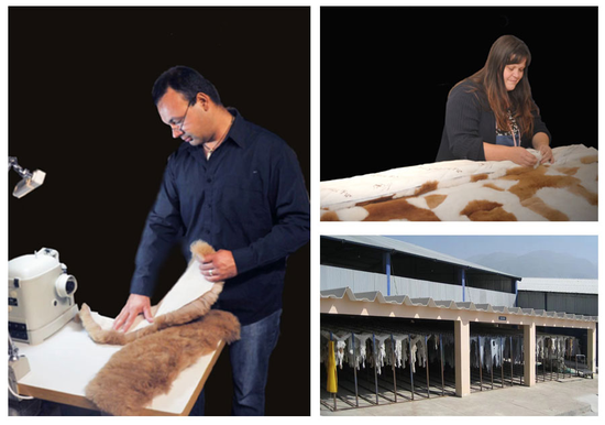 五个关键词，带您了解INJOI的品牌故事！_城市频道_新浪网