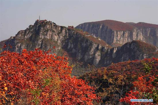 Scenery of red leaves in Hongfeng Mountain of Chaiguan Township, N ...