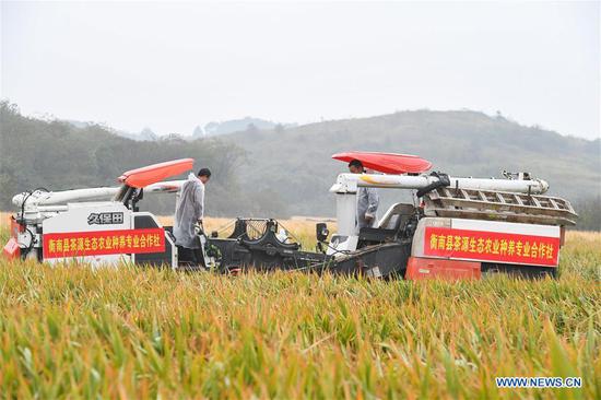 Third-generation hybrid rice achieves high yield_手机新浪网