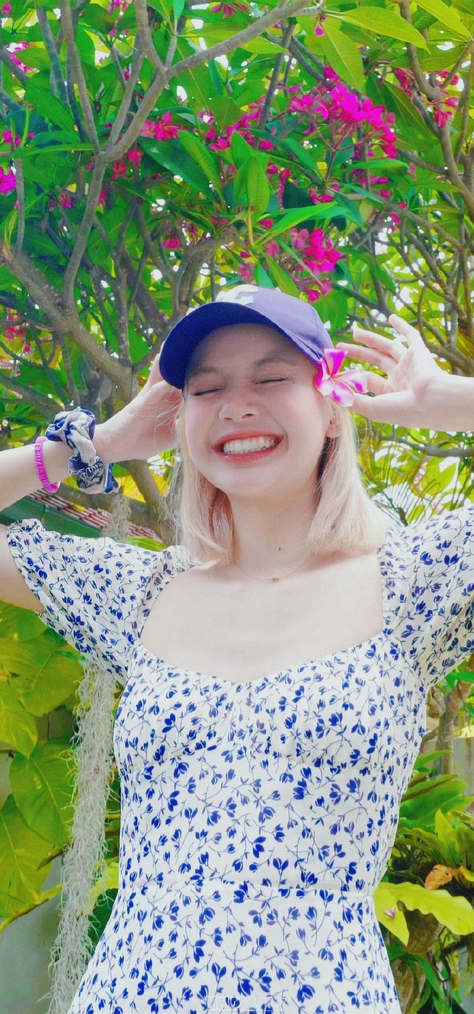 組圖：泰國生物研究小組新發現瀕危物種花 以LISA為其命名 - 新浪香港