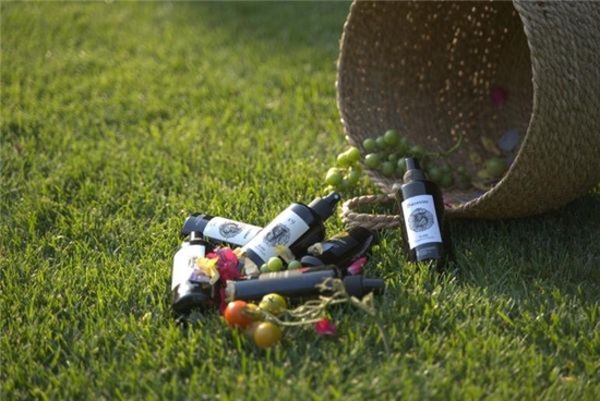 自然态度 自在生长——意大利沙龙香氛ANNA PAGHERA进入中国市场_新浪时尚_新浪网