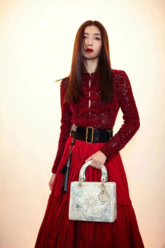 圣诞红，点燃节日氛围 -6park.com