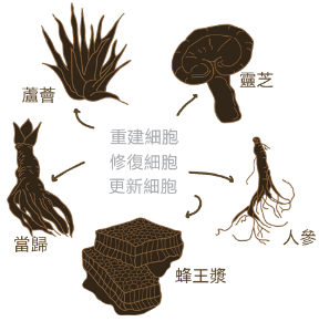 美国天然草本护肤品牌Baszicare登中国内地|美国天然草本复合护肤品牌|Baszicare_新浪时尚_新浪网