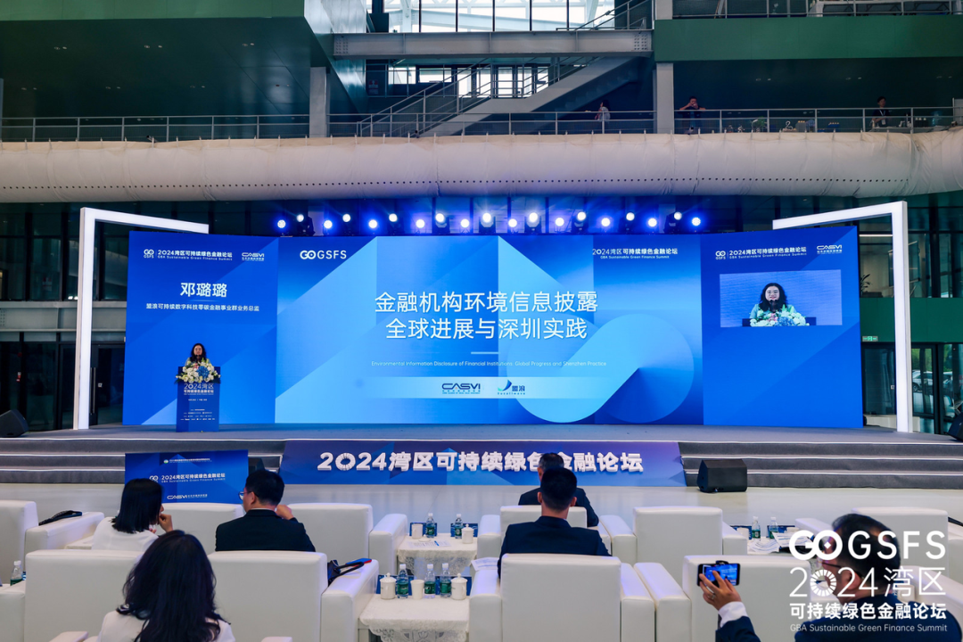 2024 GSFS｜《金融机构环境信息披露全球进展与深圳实践》正式发布_新浪财经_新浪网