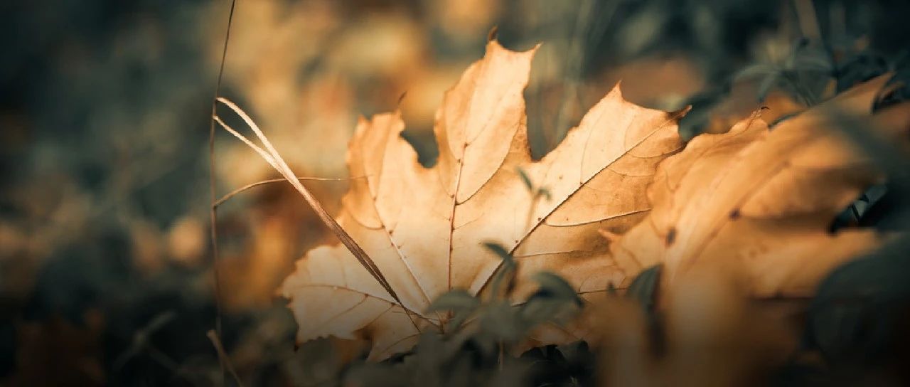 钓台御品公司或将解散！实控人钓鱼台食品有限公司提起解散诉讼|食品|钓鱼台食品有限公司|酒业家|赵建斌|钓鱼台生物科技公司_手机新浪网