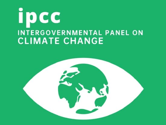 IPCC主席吉姆•司吉：全球气候治理中国参与不可或缺|气候变化_新浪财经_新浪网