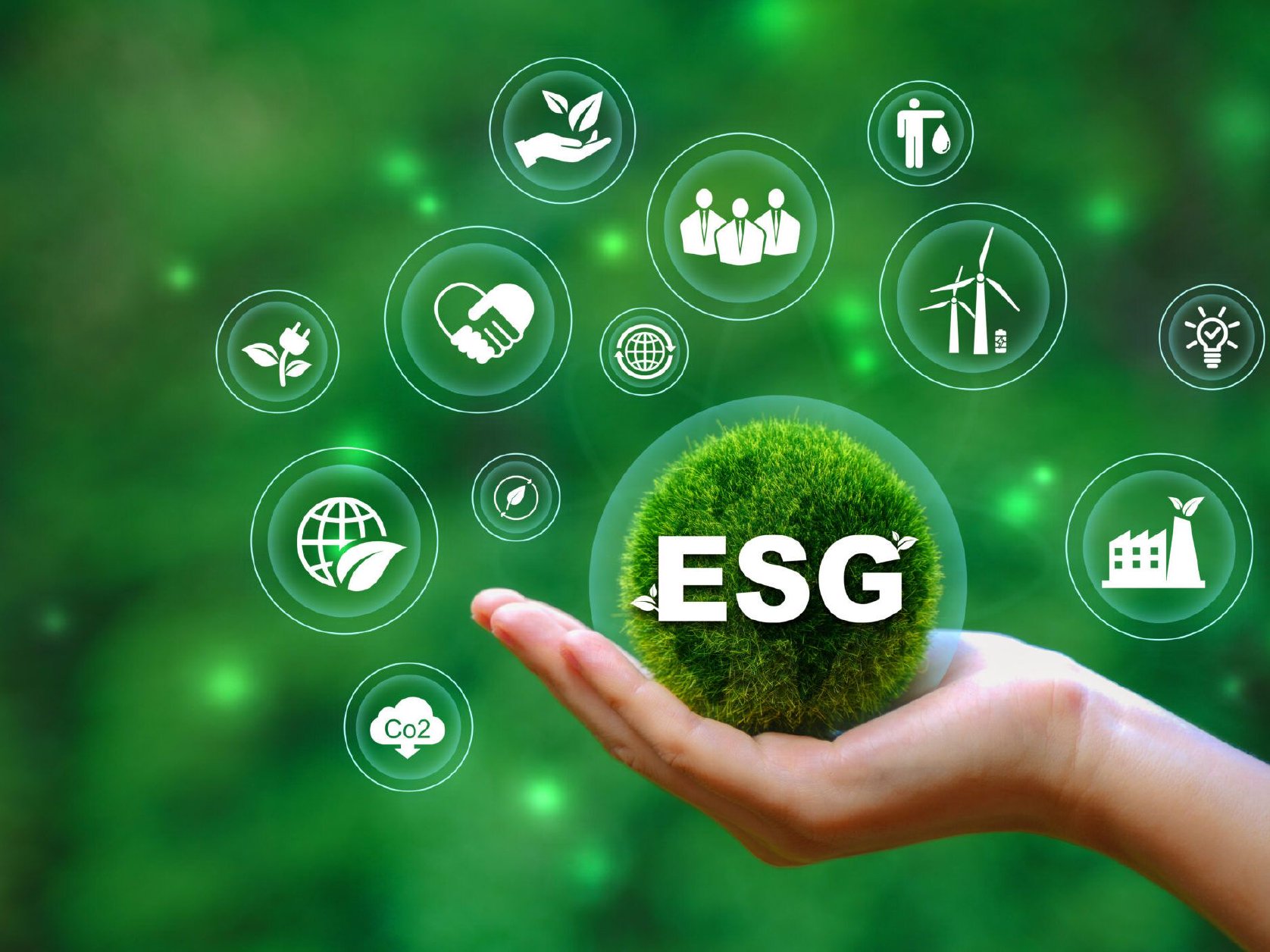 国际主流ESG评估体系综述_新浪财经_新浪网