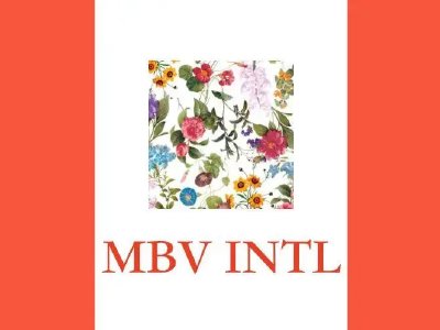 MBV INTL午盘涨超5% 东兴证券认为下半年订单回暖可期|MBV INTL_新浪财经_新浪网