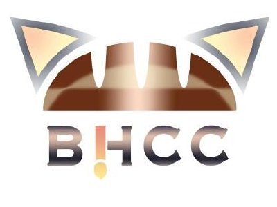 BHCC HOLDING公布买方已行使购买选择权|BHCC HOLDING_新浪财经_新浪网