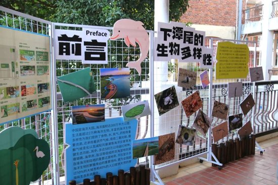 厦门海底世界与厦门市人民小学共建海洋标本馆正式开放_新浪福建_新浪网