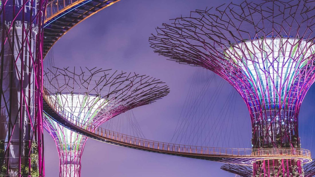 新加坡超级树：城市环保的典范，树下竟隐藏着一个鲜有人知的秘密|太阳能|空中走廊|新加坡_新浪新闻