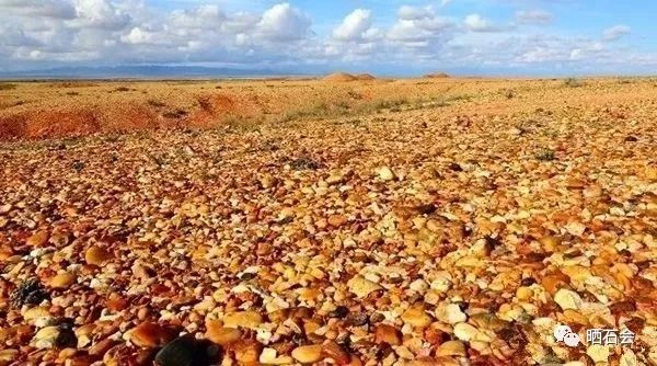 中国最独特的戈壁！无数人靠这片戈壁滩致富，游客来这里捡宝石|玛瑙滩|玛瑙|戈壁滩_新浪新闻