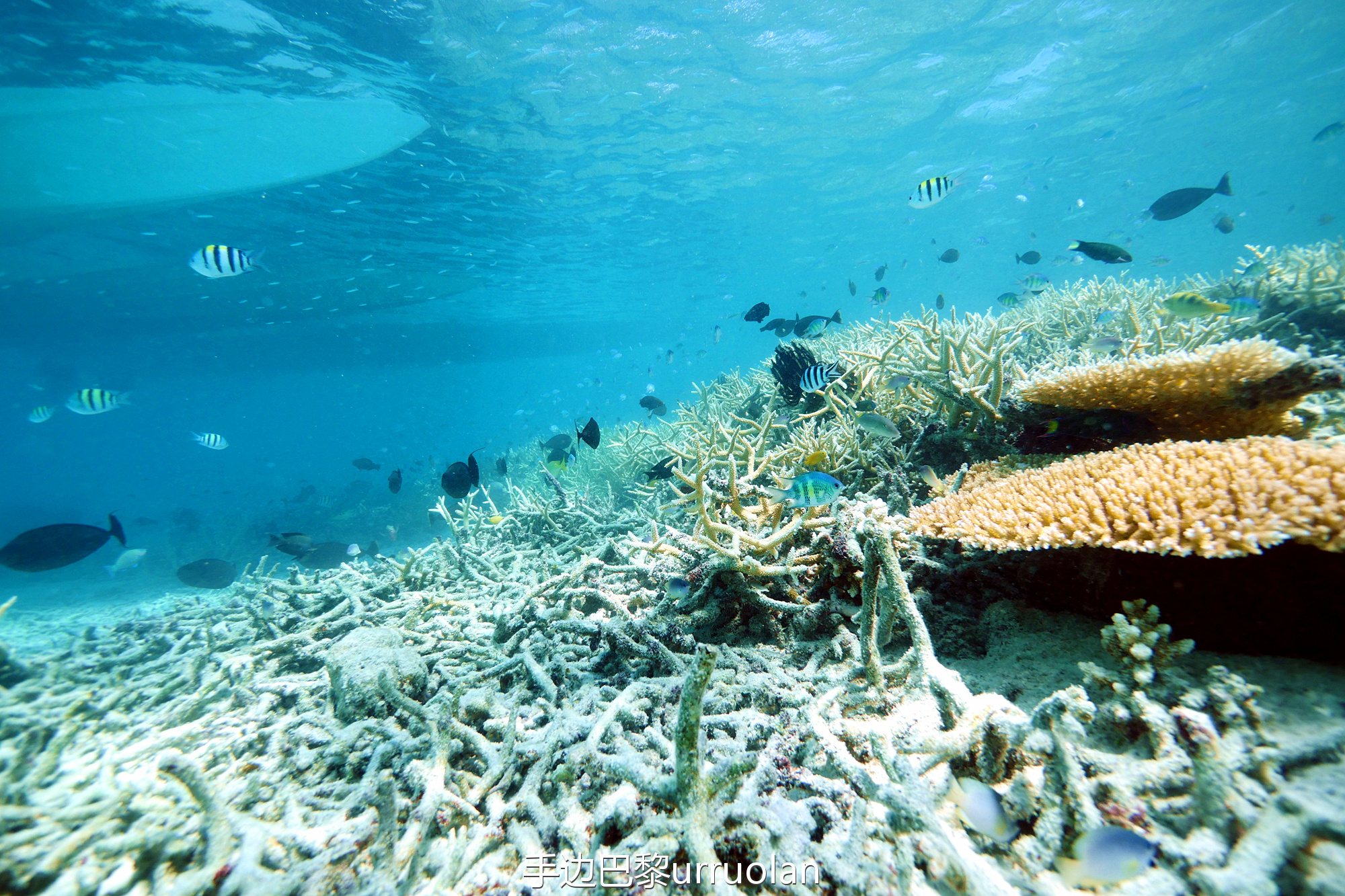 错过再等8年 盘点2017值得你赴约的美好目的地_手机新浪网