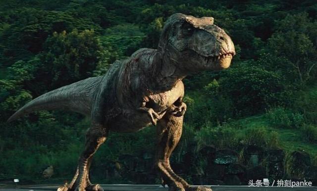 沉思一个问题：霸王龙的前爪到底是干嘛的？
