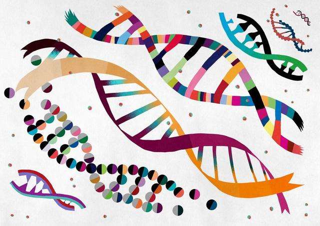 试管婴儿中PGS/PGD技术的区别与应用