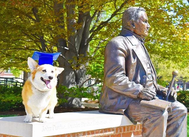 厉害！普渡大学毕业典礼将在国际空间站直播_手机新浪网