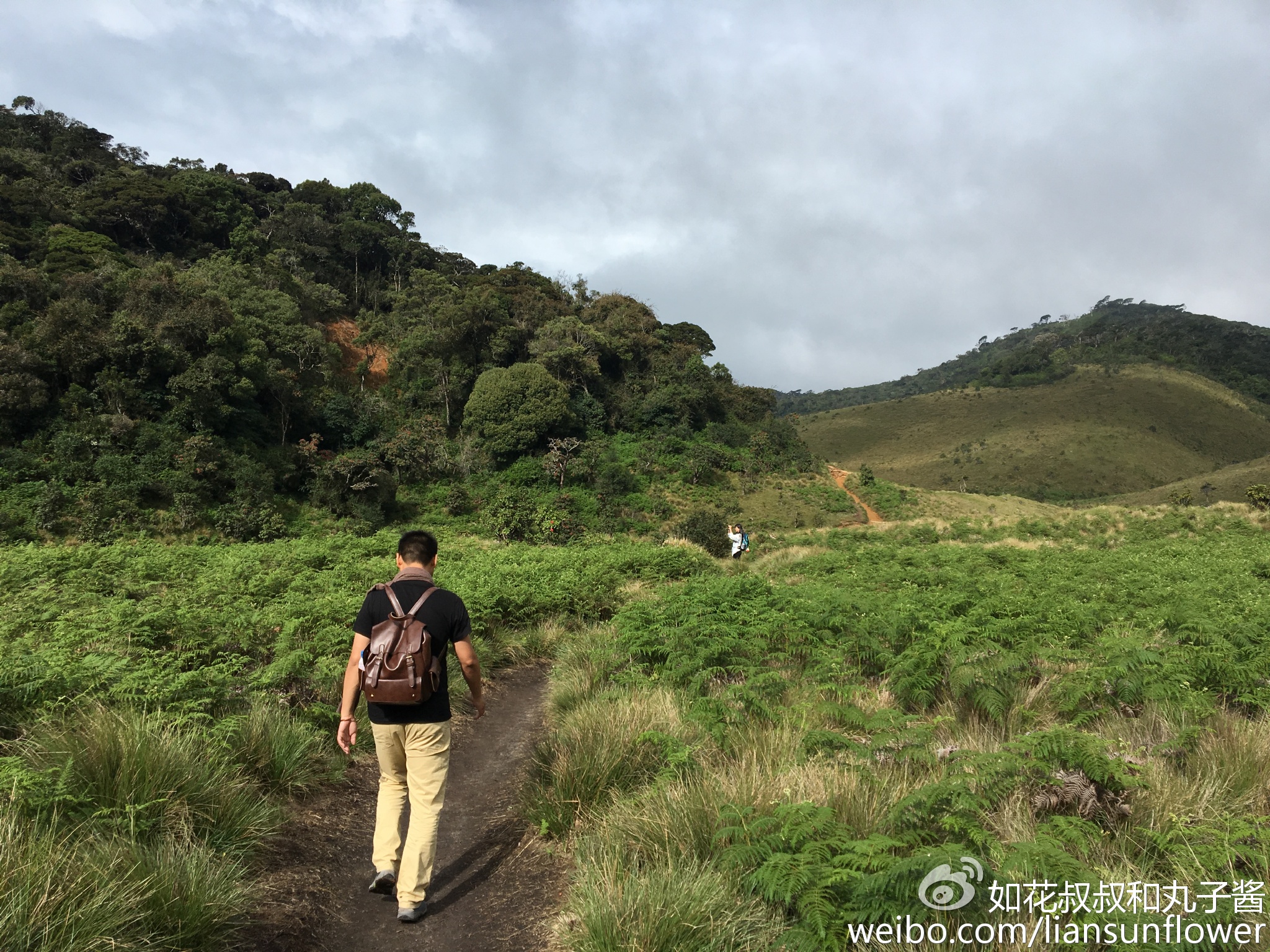 斯里兰卡 开着小火车去往世界尽头_新浪旅游_新浪网