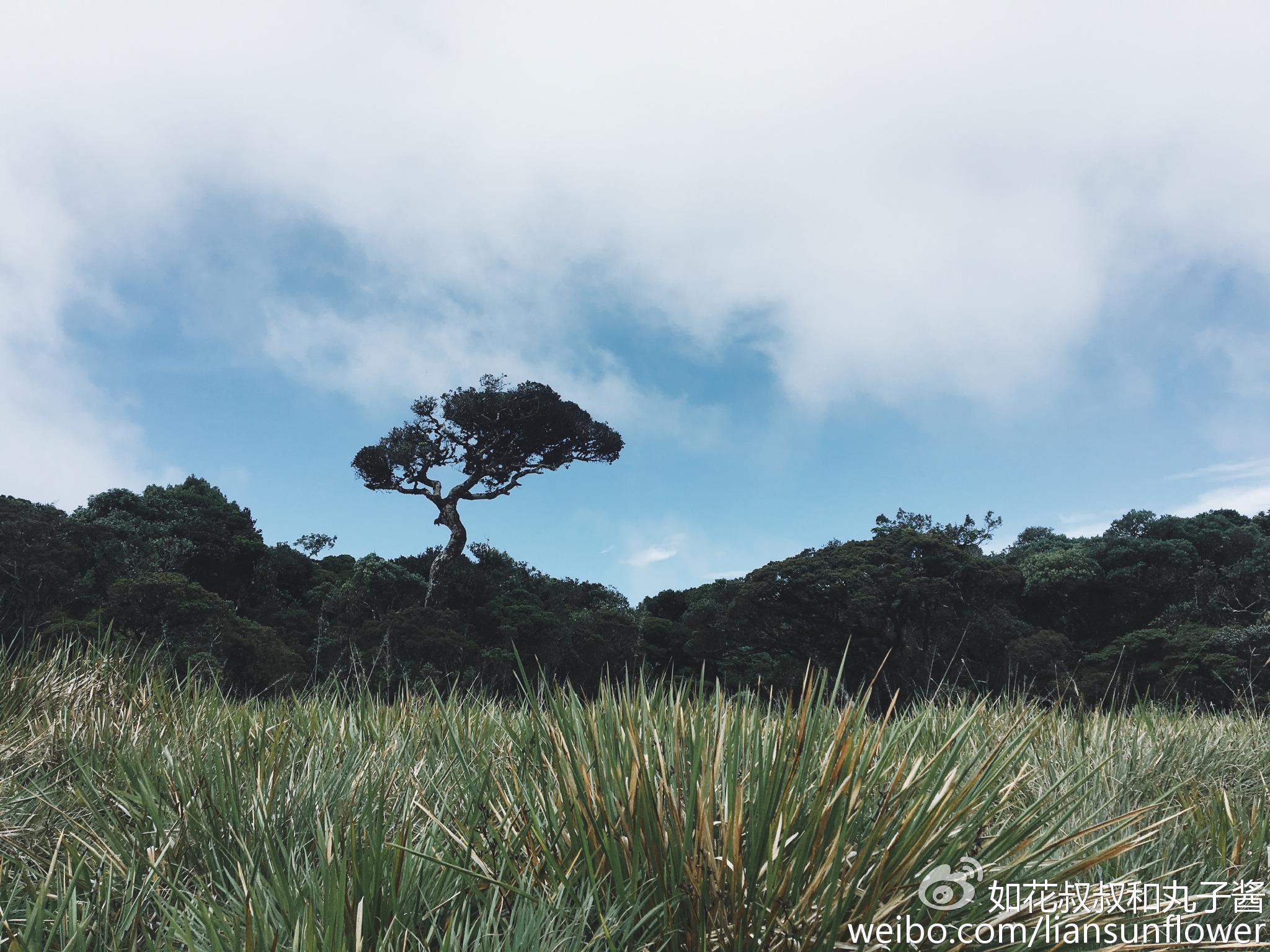 斯里兰卡 开着小火车去往世界尽头_新浪旅游_新浪网